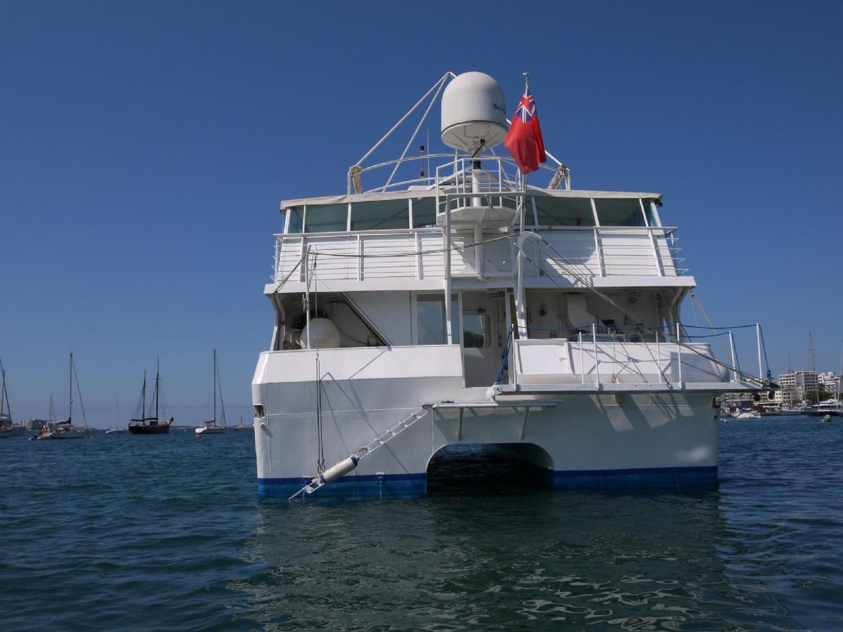 Catamarán : Poseidon Motor Catamaran : Barco de Motor a la venta